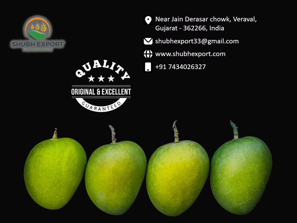 Import Mangoes From India To Canada at William Gainey blog